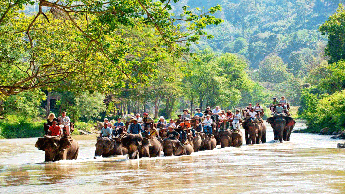 Tour Thái Lan 5N4Đ: Khám Phá Miền Bắc Chiang Mai - Chiang Rai - Bảo ...